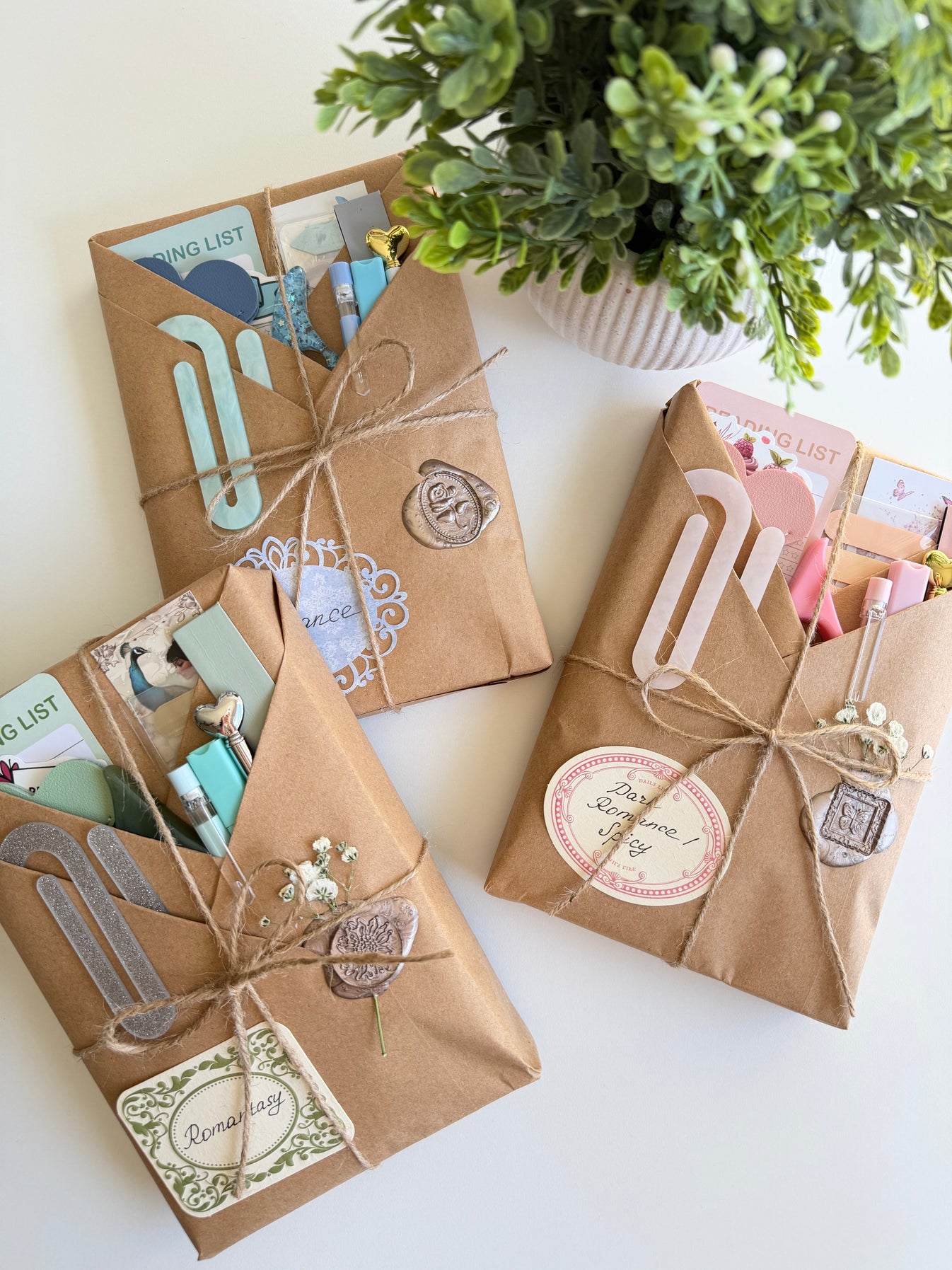 Blind Date with a Book | Mystery Book Box Gift for Book Lovers (Please ...